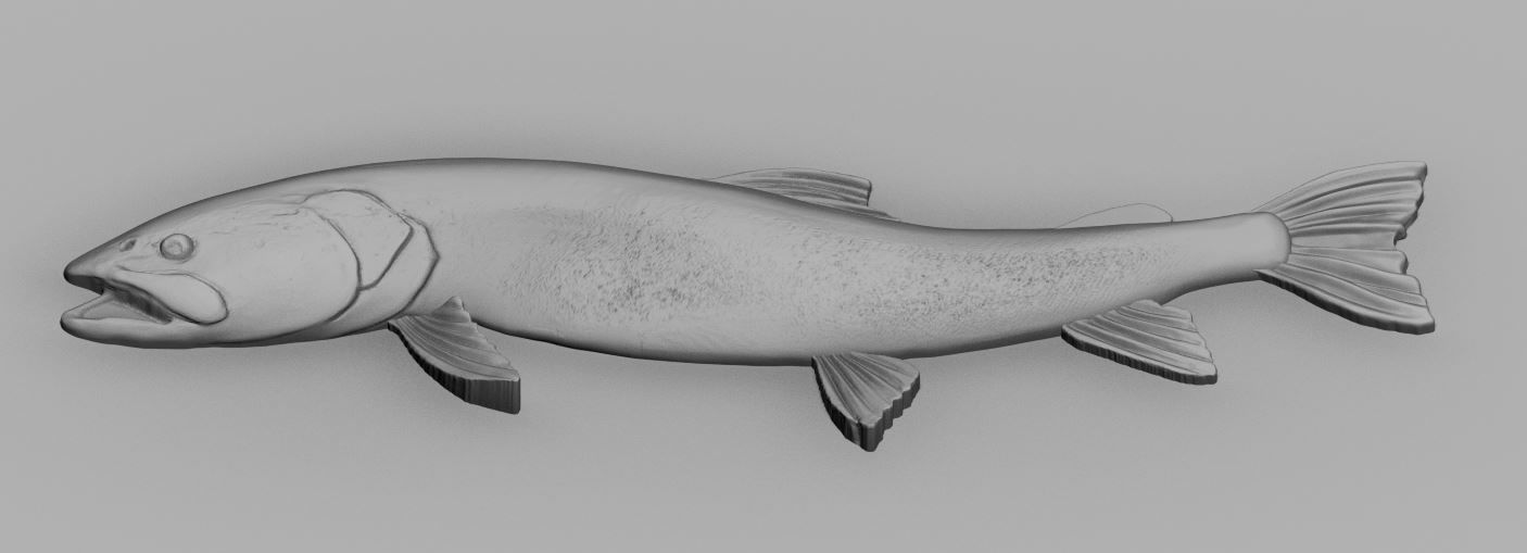 fish relief 3D model 3D printable | CGTrader