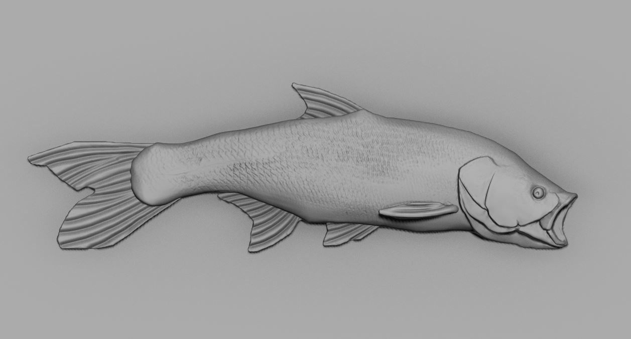 fish relief 3D model 3D printable | CGTrader