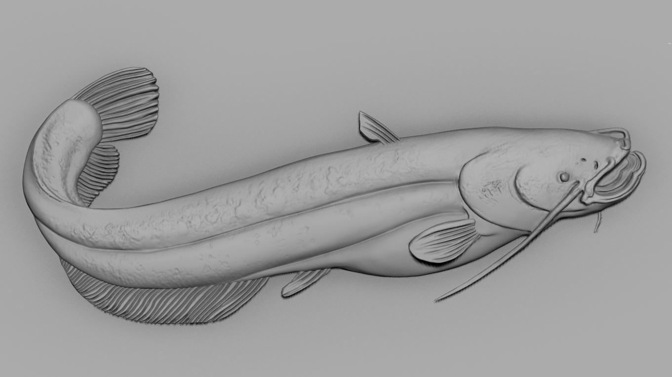 Catfish 3D model 3D printable | CGTrader