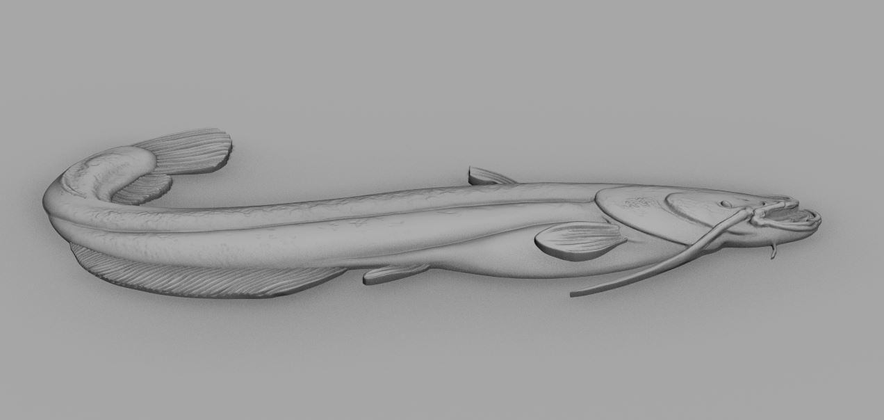 Catfish 3D model 3D printable | CGTrader