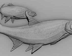 Fish 3D Printing Models | CGTrader