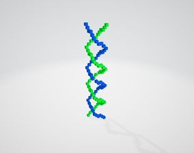 Free Dna 3D Models | CGTrader