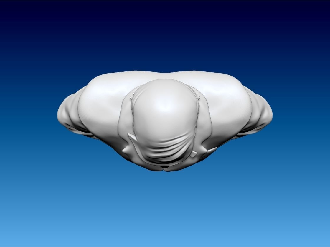 Wall Might All Might Trump 3D model 3D printable | CGTrader