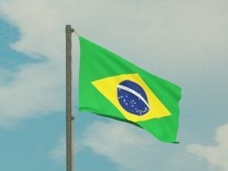 Flags of all 196 countries 3D model rigged | CGTrader