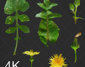 Dand 3D Models | CGTrader