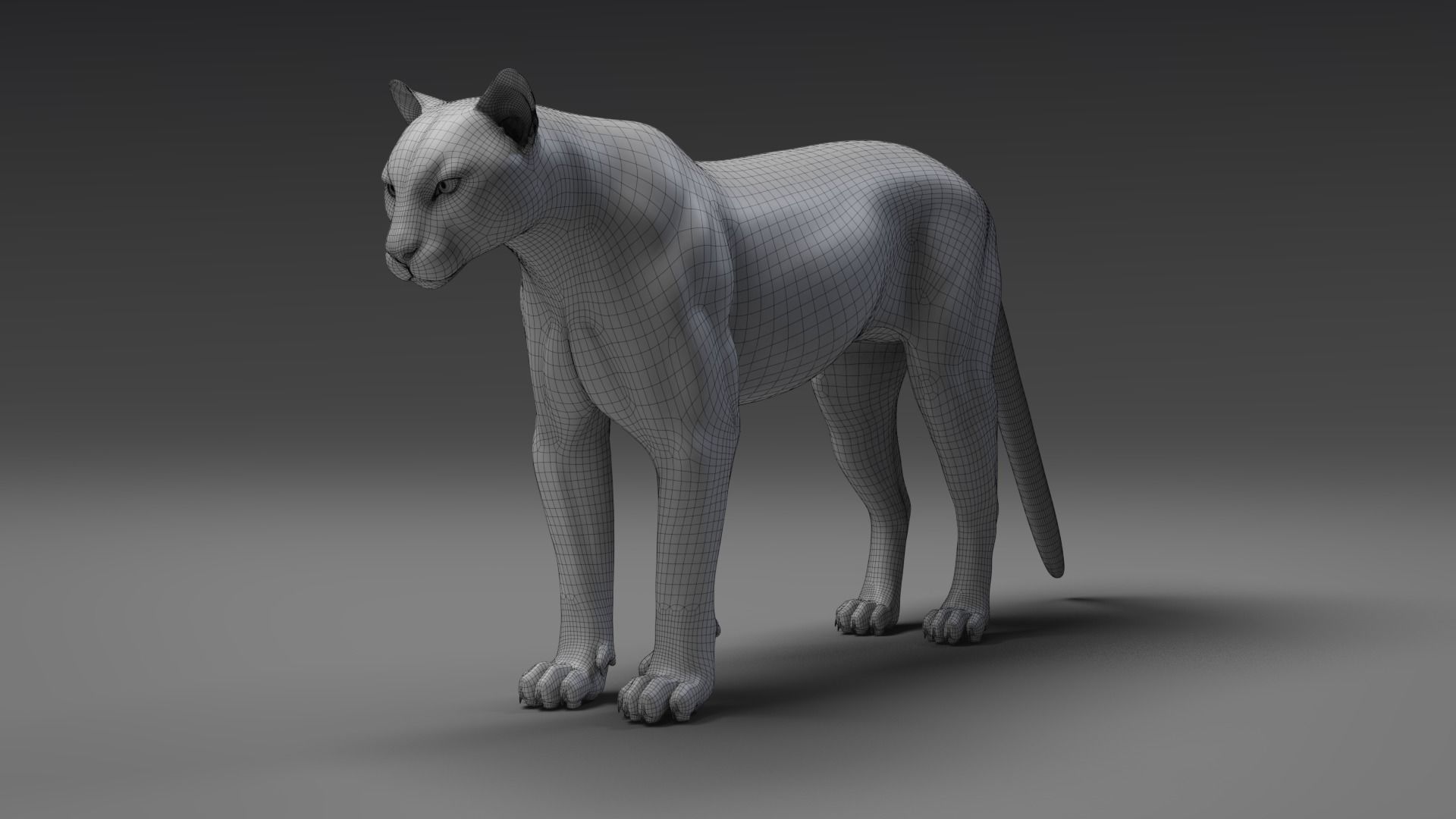Puma Animated 3D model animated rigged | CGTrader