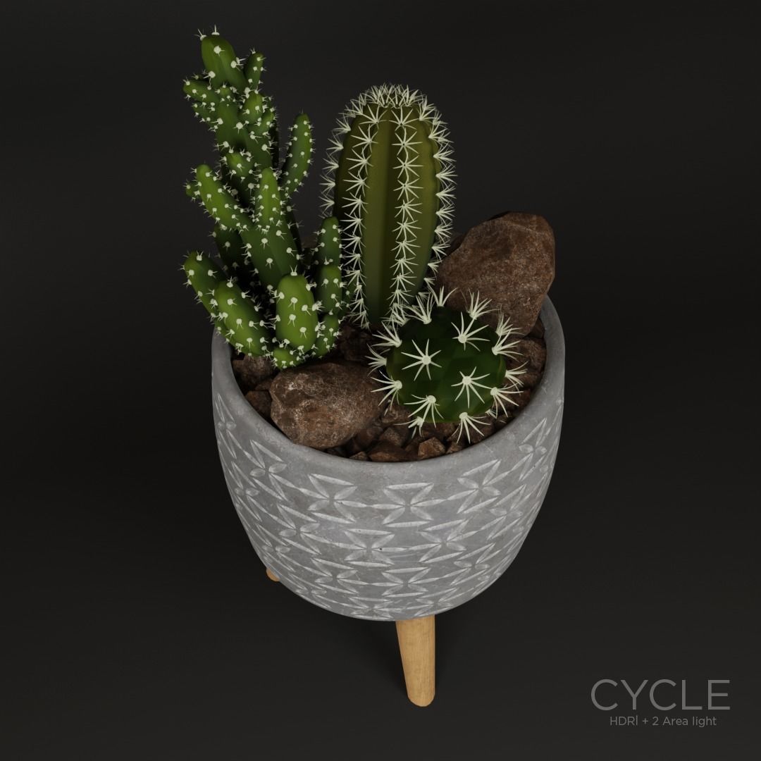Realistic Cactus Prop 3D model | CGTrader
