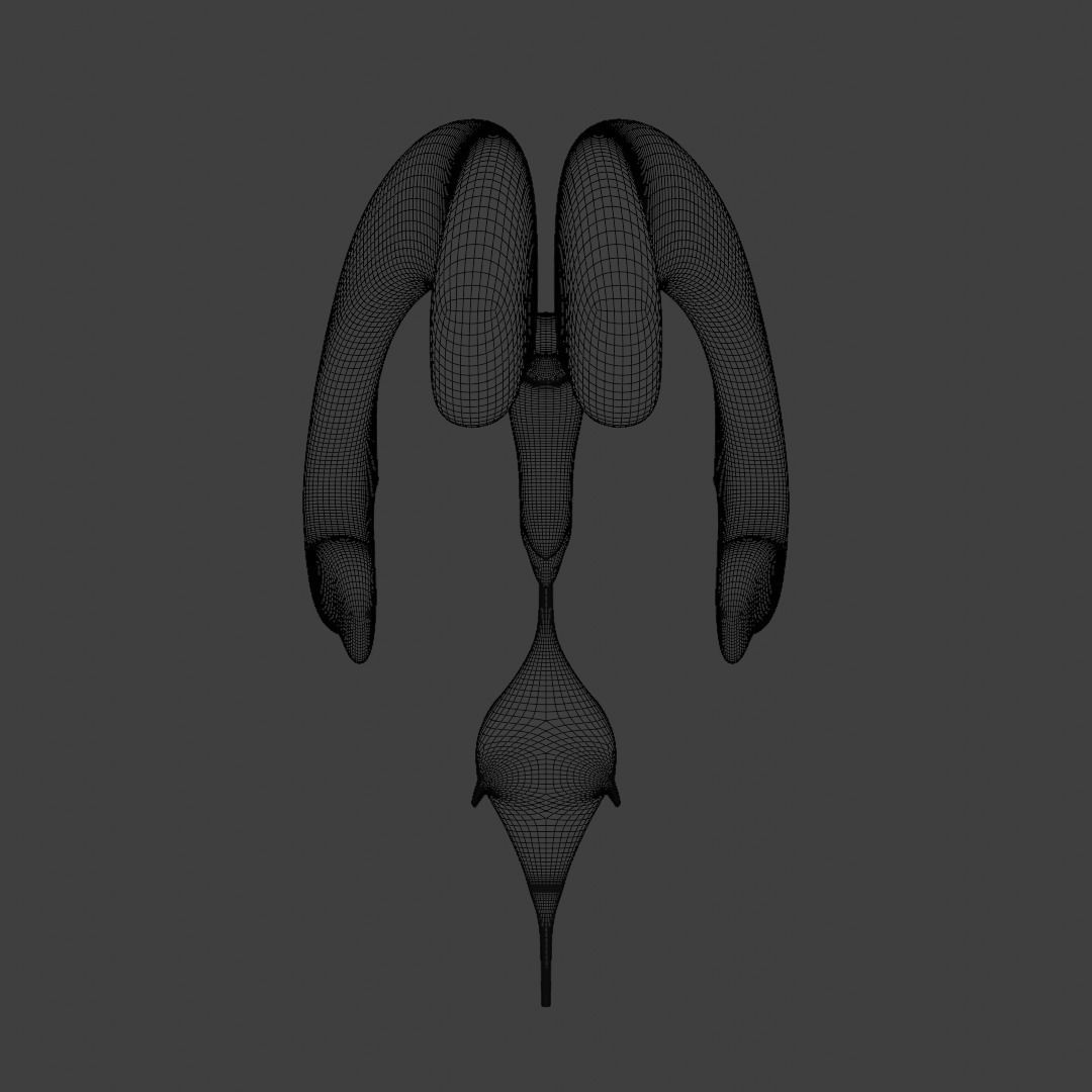 Ventricular system of the brain 3D model | CGTrader