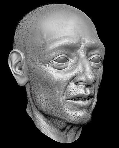 Old man head sculpt 3D model | CGTrader