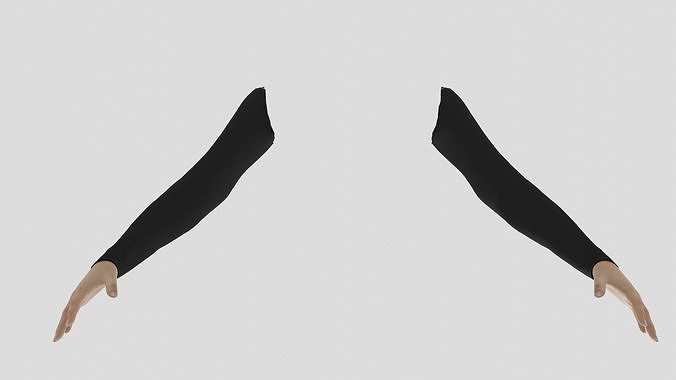 Rigged Hands 3d Model 3D model rigged | CGTrader