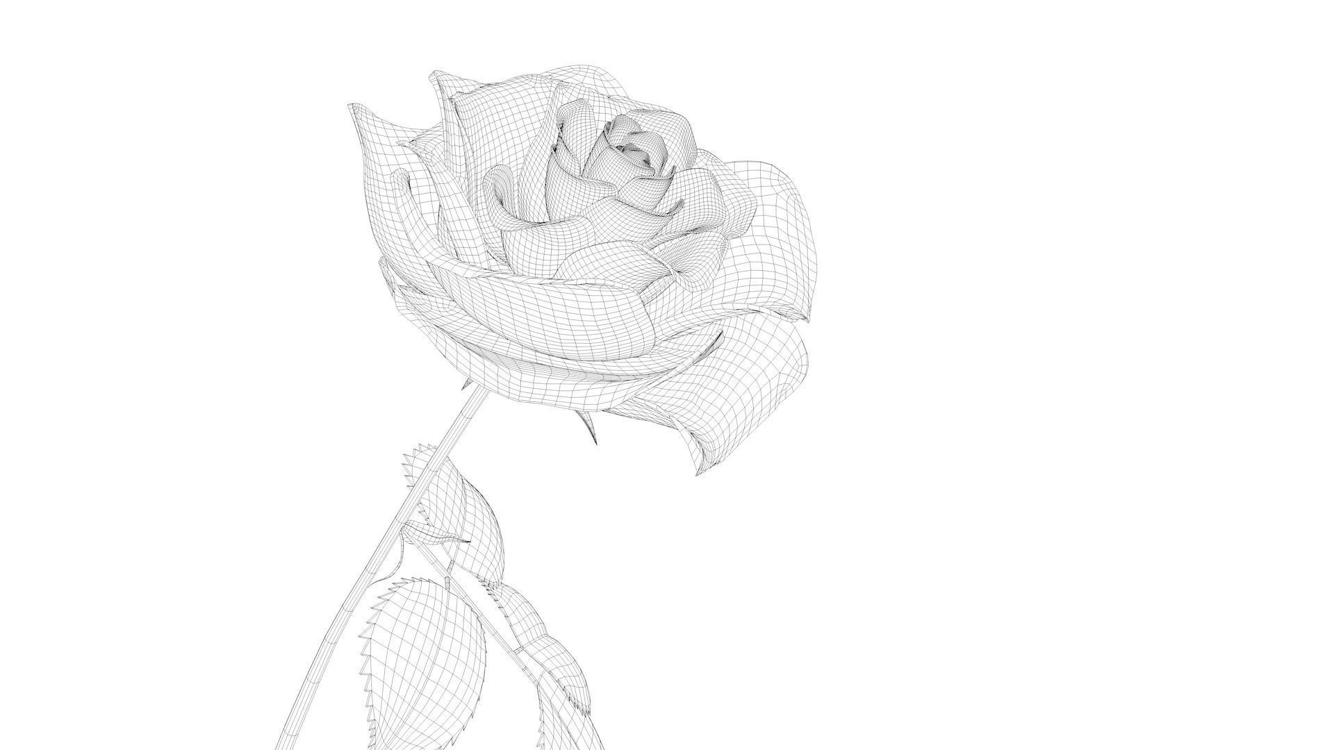 3d Rose Animated 3D model animated rigged | CGTrader