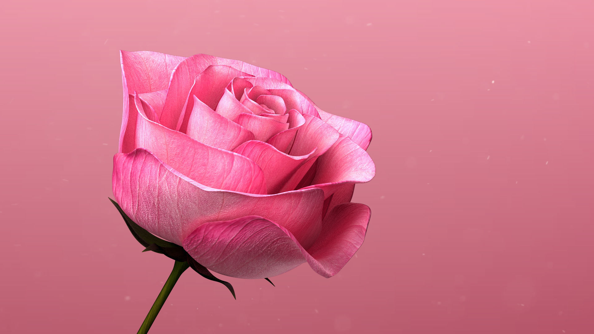3d Rose Animated 3D model animated rigged | CGTrader