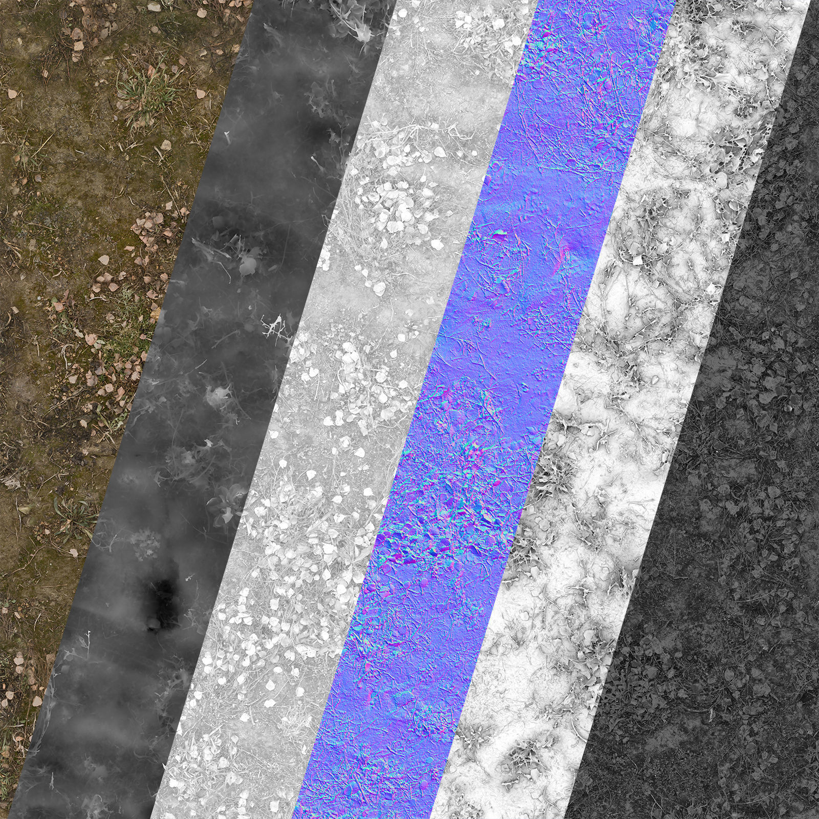 Ultra realistic Soil Scan 3D model | CGTrader