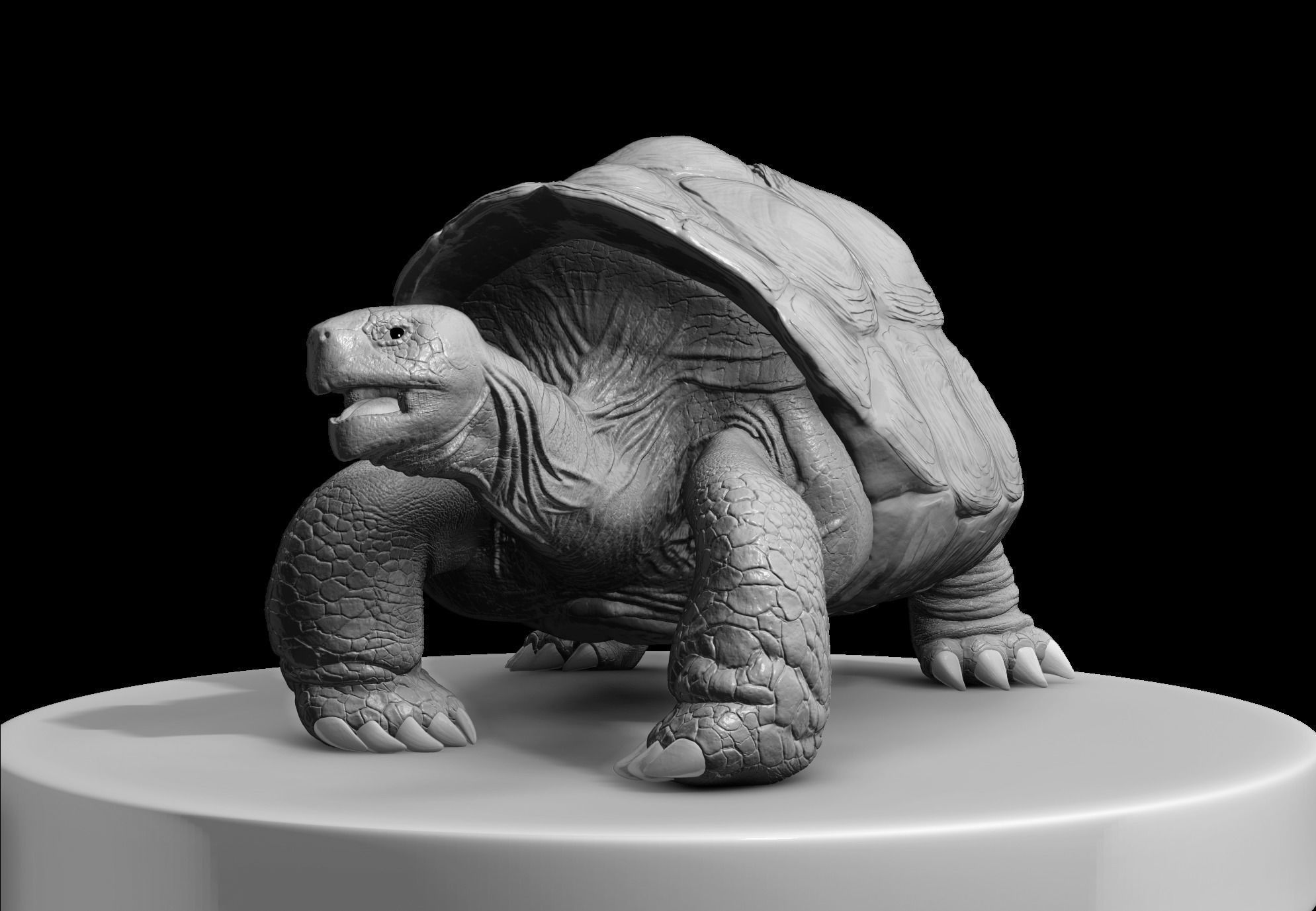 Large land turtle 3D model | CGTrader