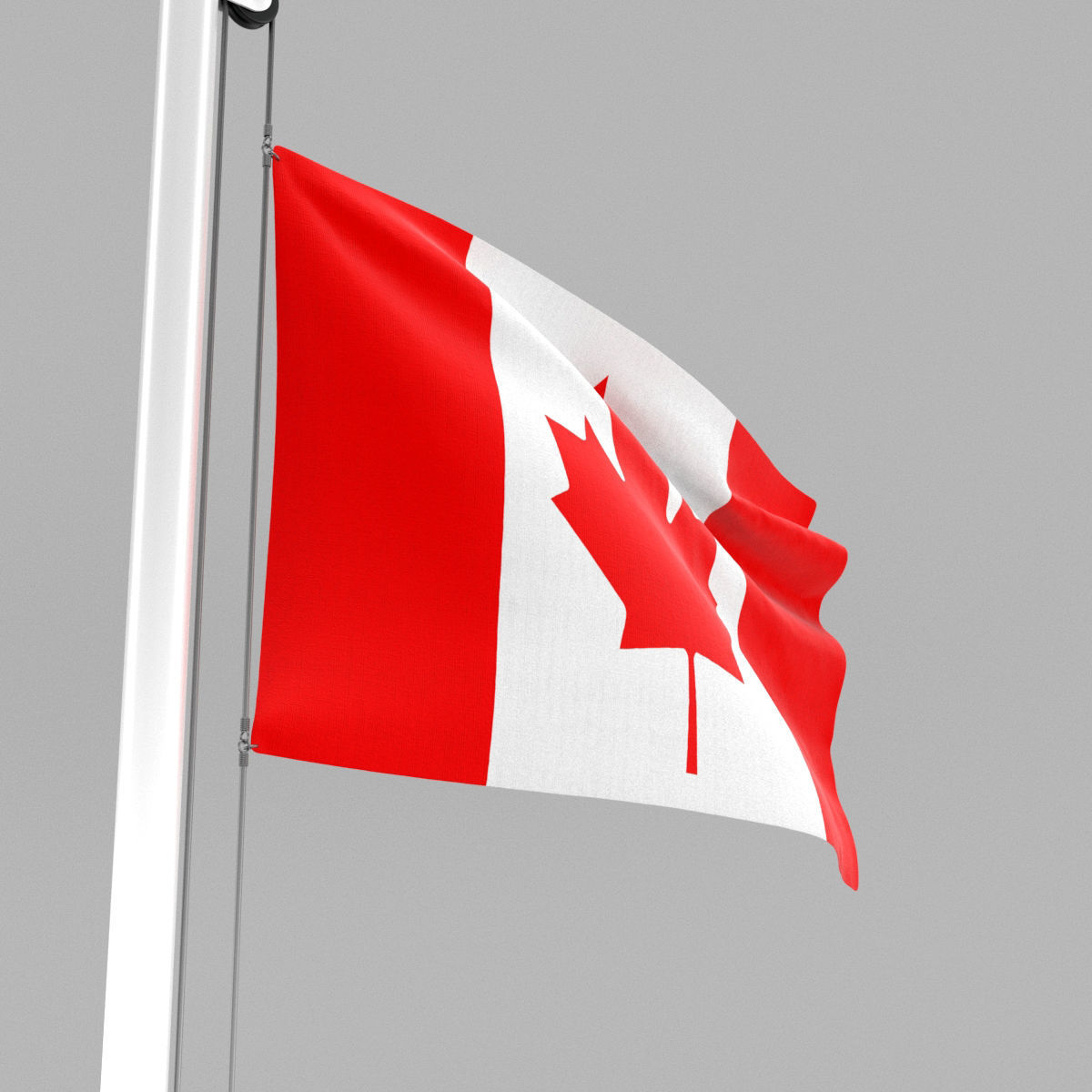 Flag of Canada 3D model | CGTrader