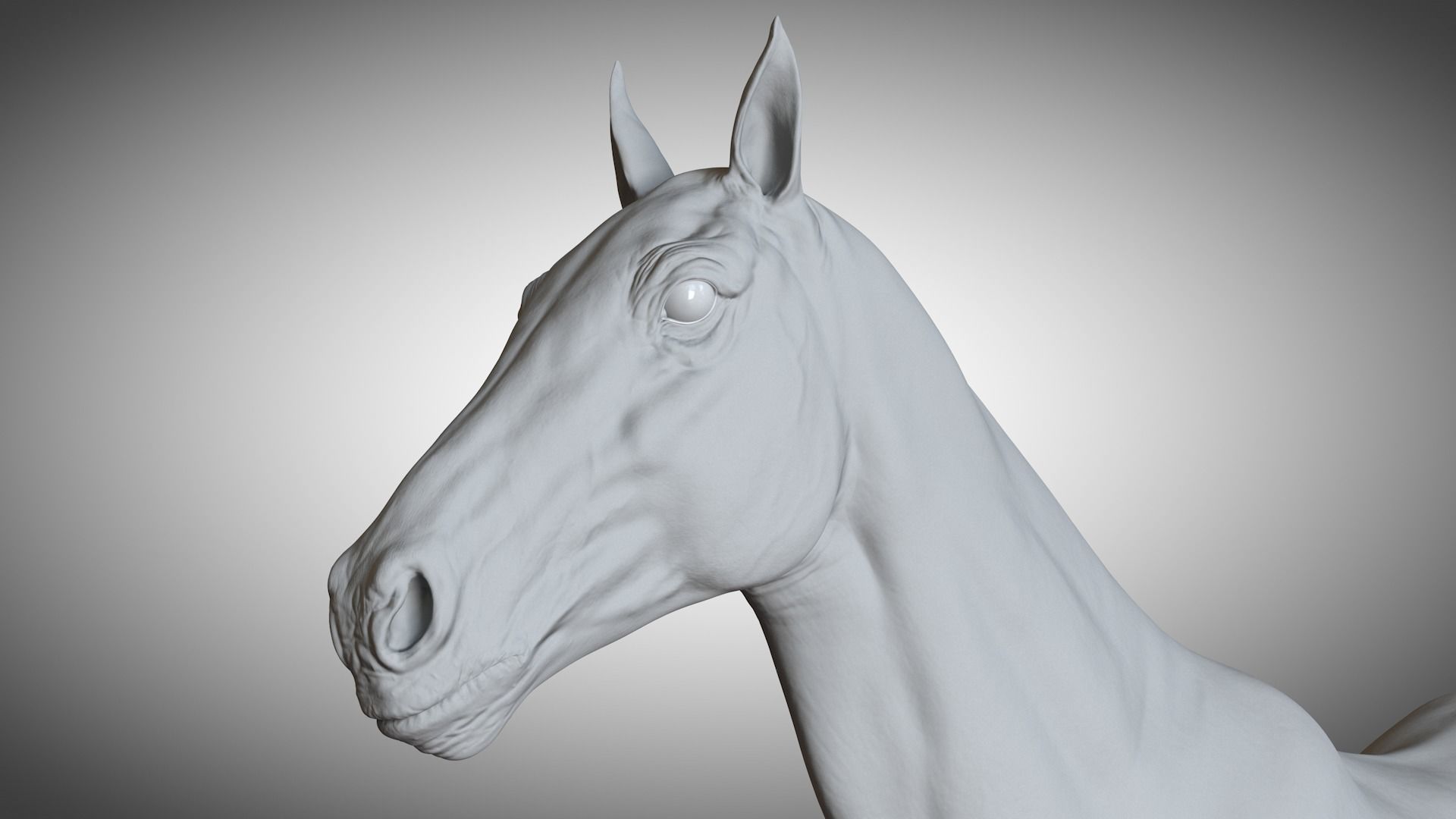 Rigged and Animated Stallion 3D model animated rigged | CGTrader