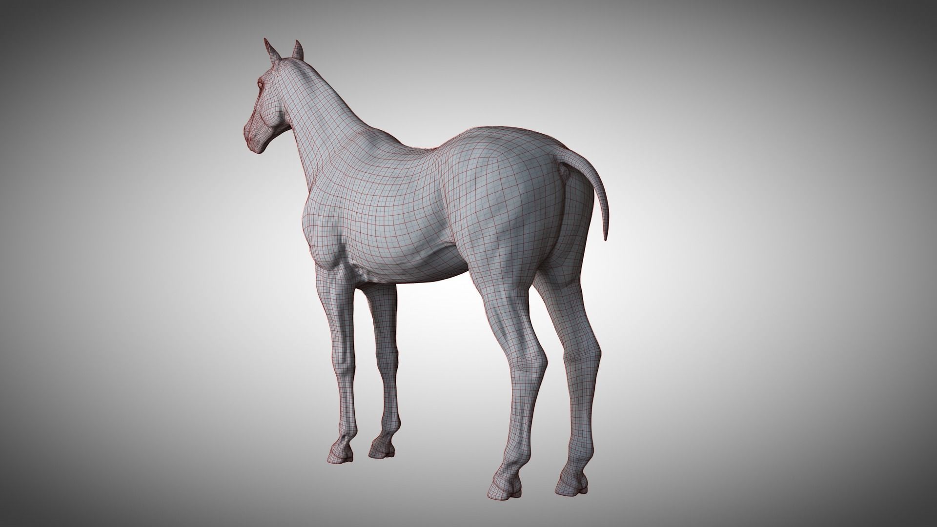 Rigged and Animated Stallion 3D model animated rigged | CGTrader