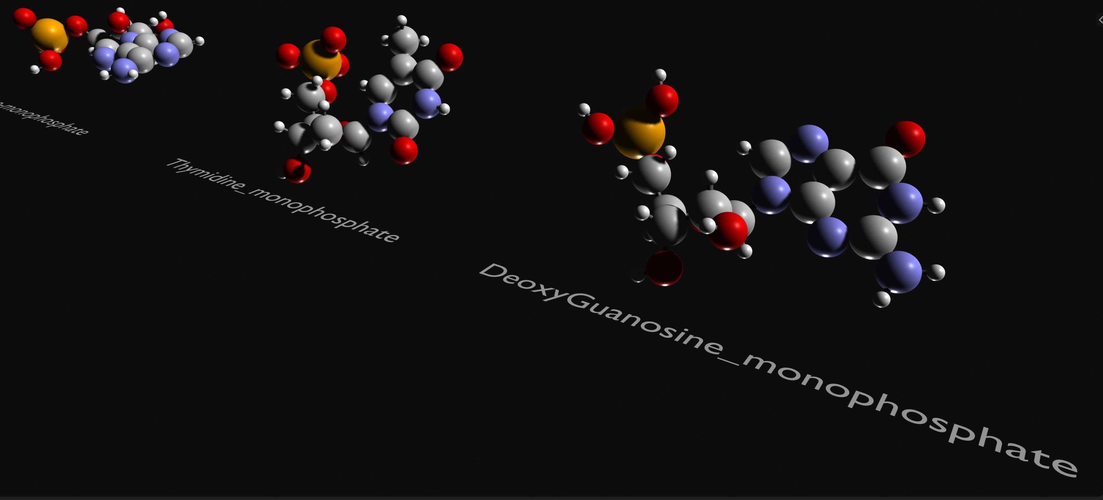 Real DNA Sequence 3D model | CGTrader