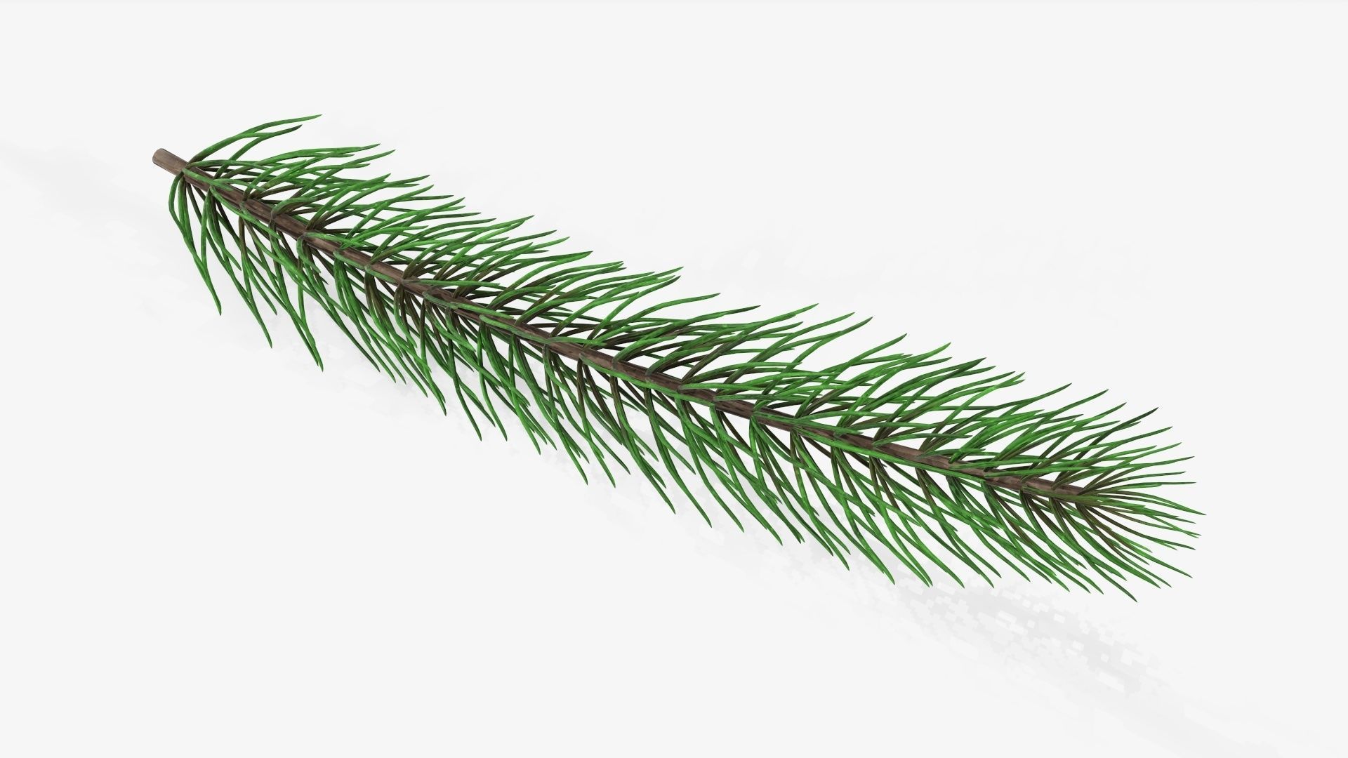 Fir tree branch 01 3D model | CGTrader