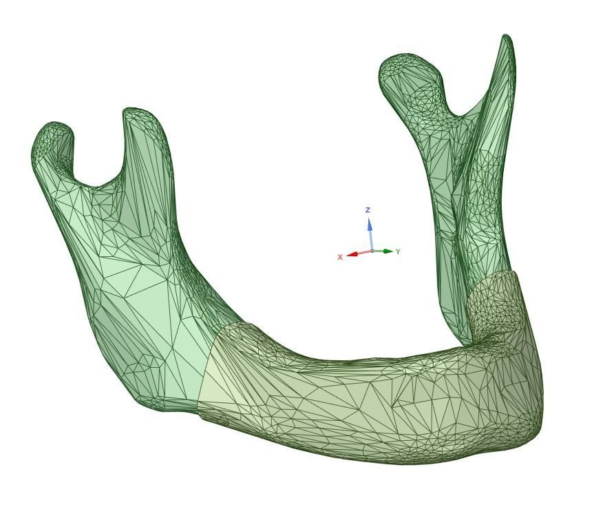 mandible 3D model | CGTrader