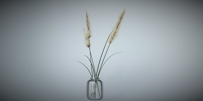 Reed Decoration 3D model | CGTrader