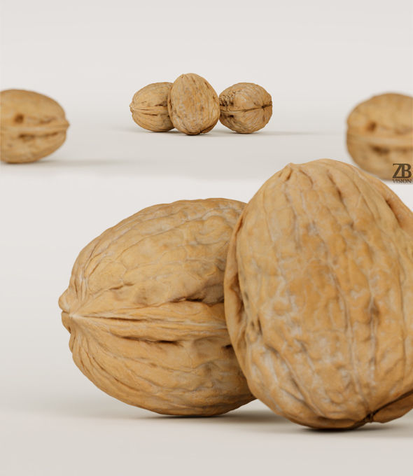 Walnut 001 3D model | CGTrader