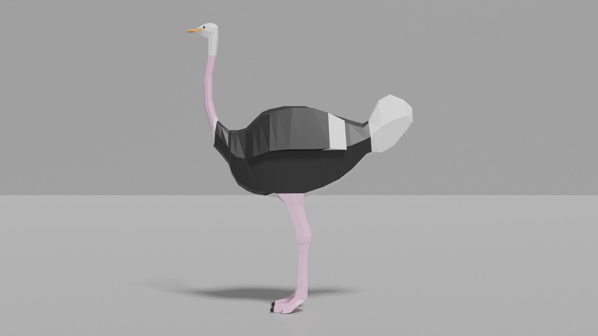 3D model Cartoon Ostrich VR / AR / low-poly | CGTrader