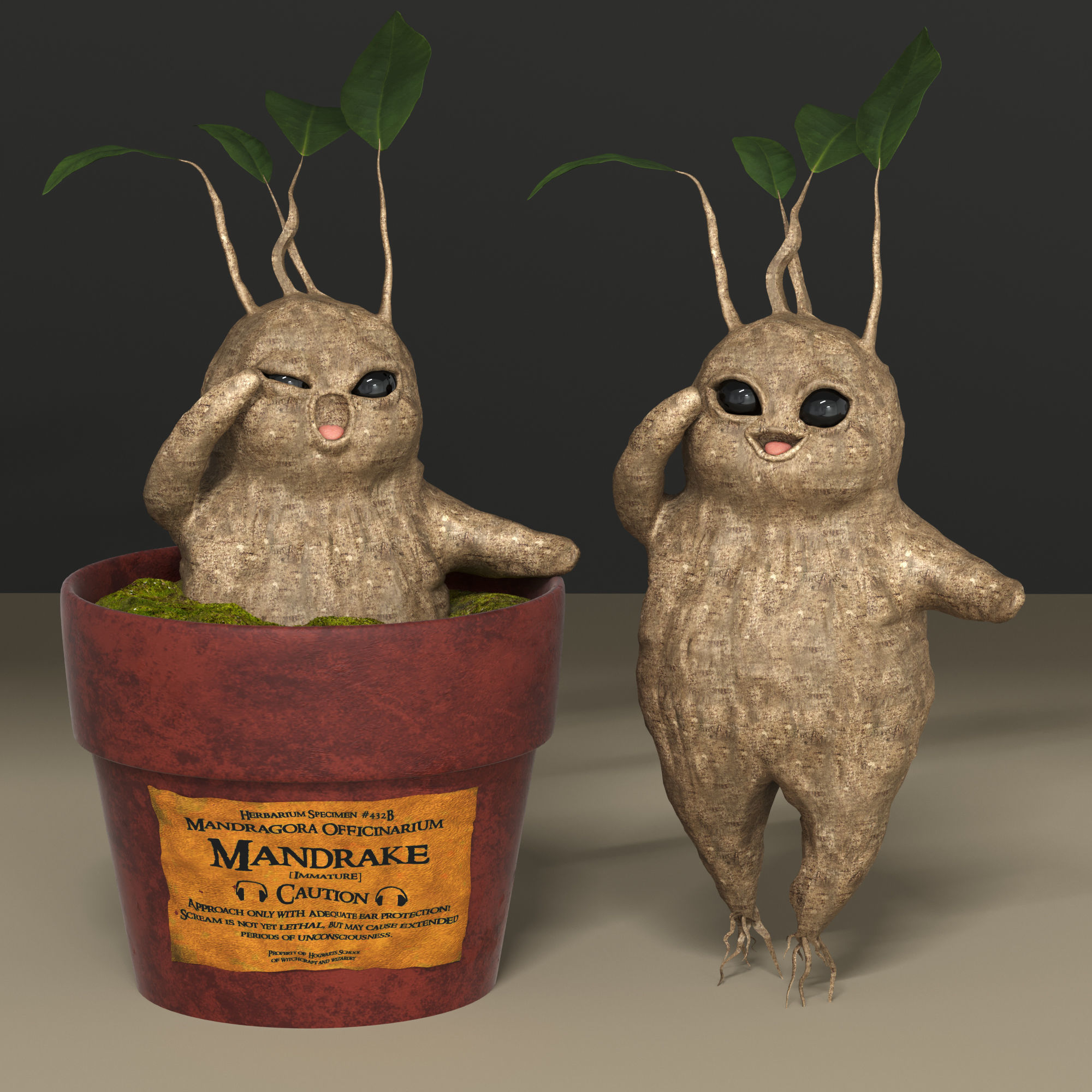 Fantasy mandrake root from the Harry Potter movie 3D model | CGTrader