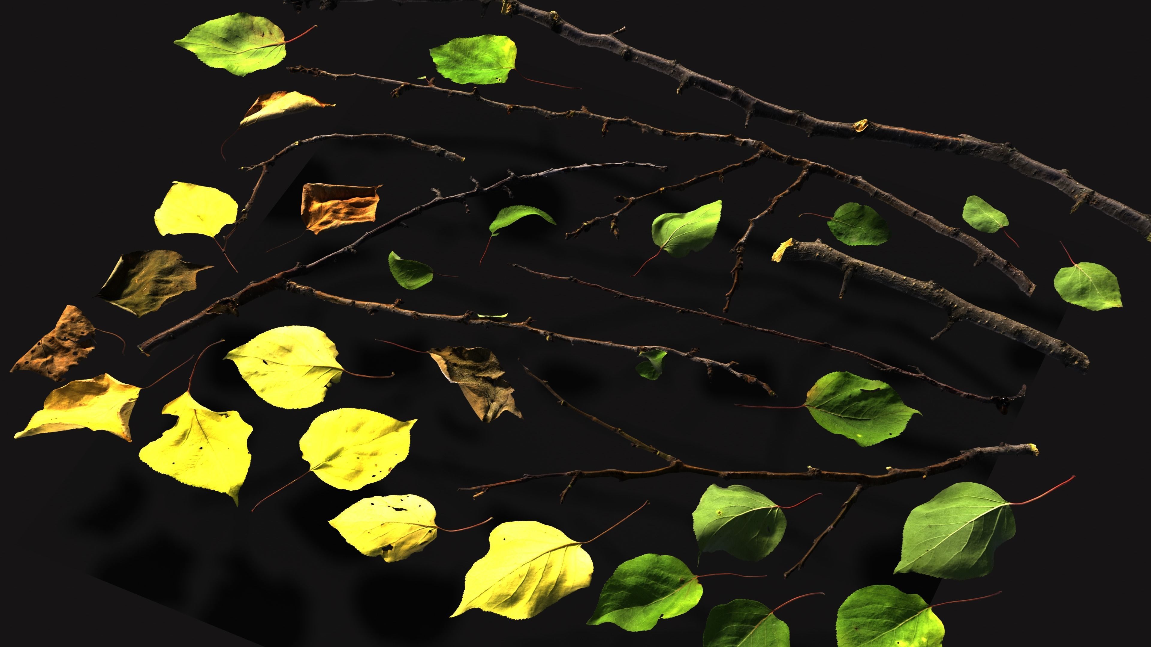 Huge 6K atlas pack - 40 types - 16 bit Texture | CGTrader