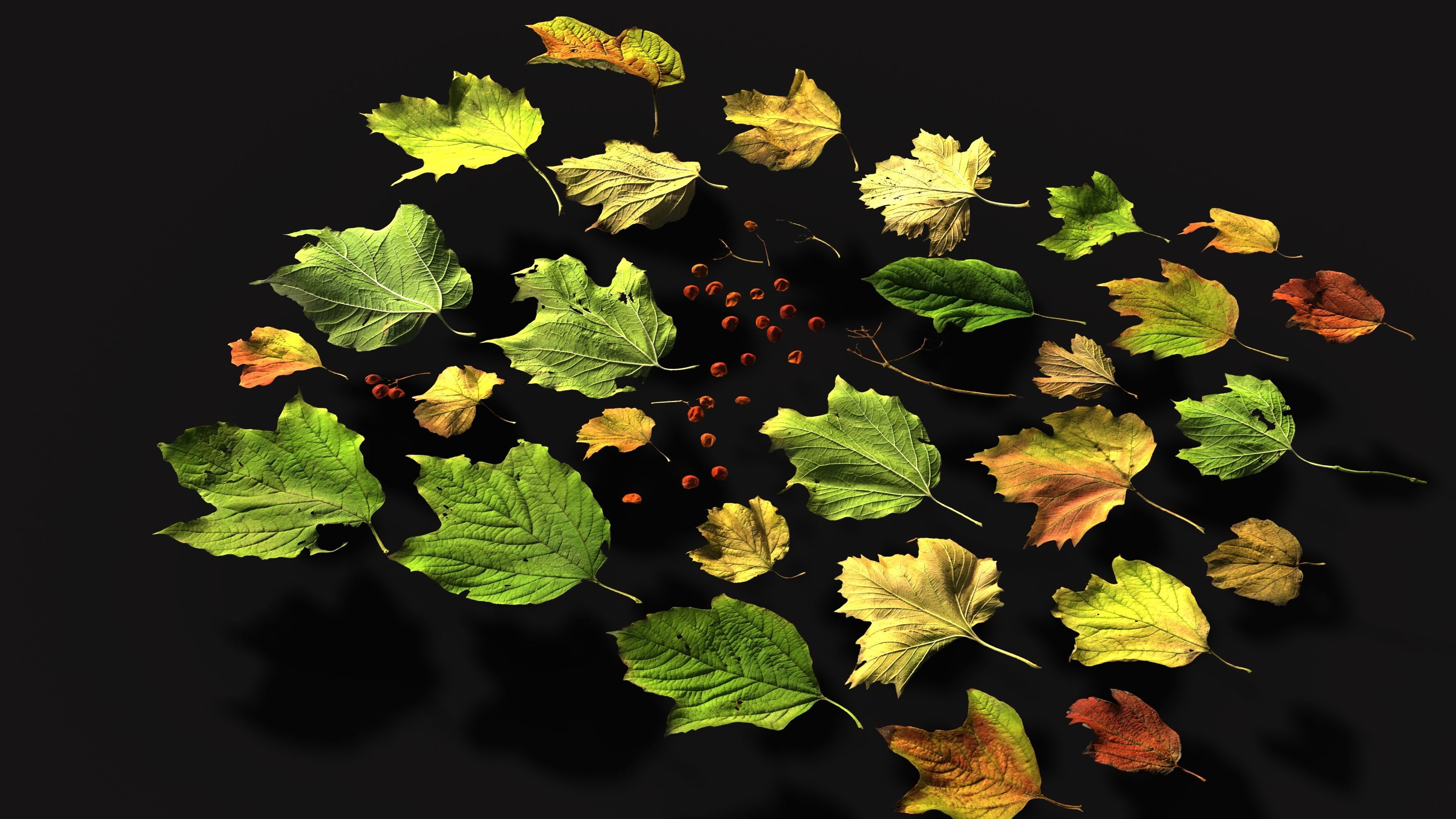 Huge 6K atlas pack - 40 types - 16 bit Texture | CGTrader