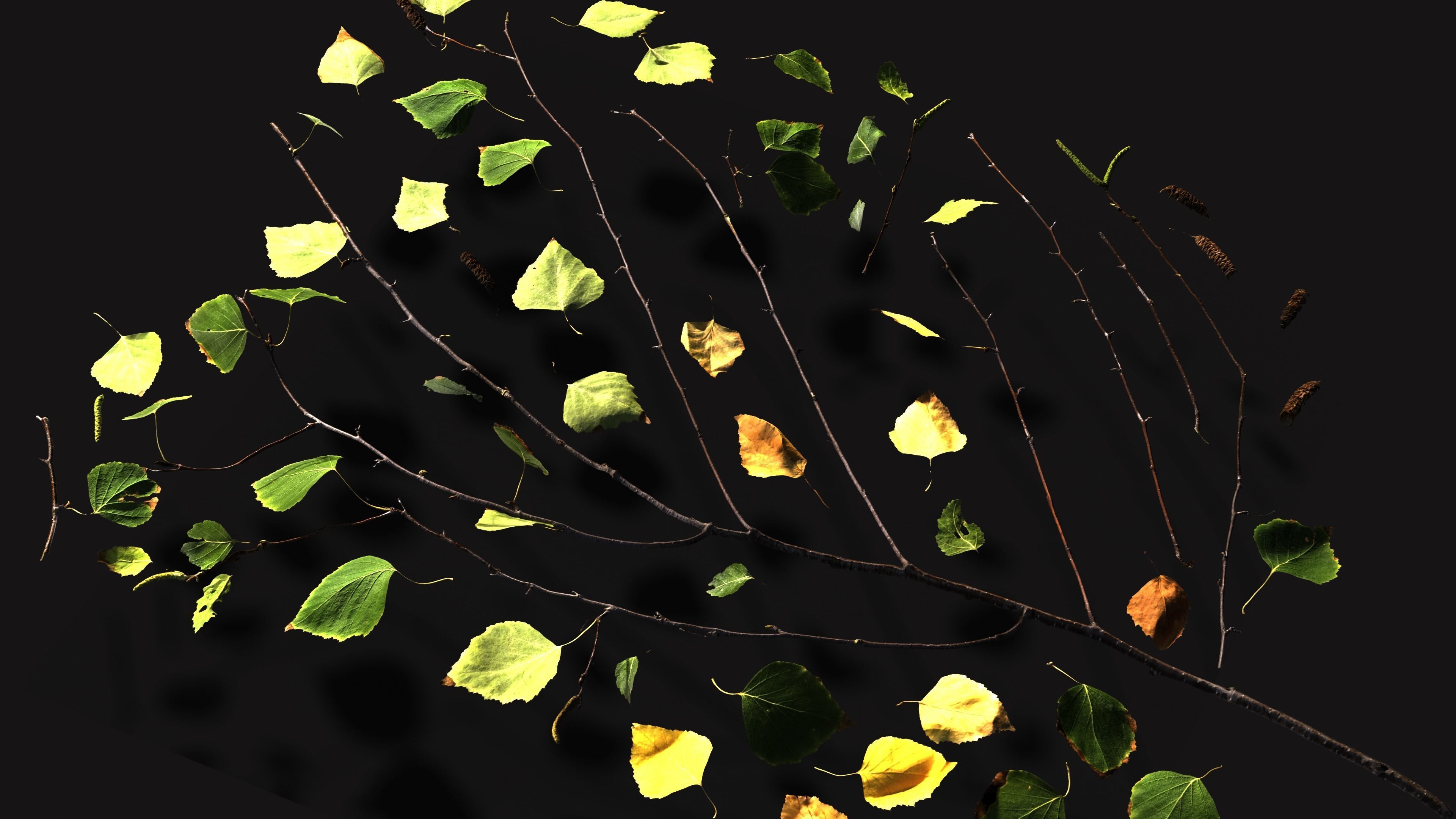 Huge 6K atlas pack - 40 types - 16 bit Texture | CGTrader