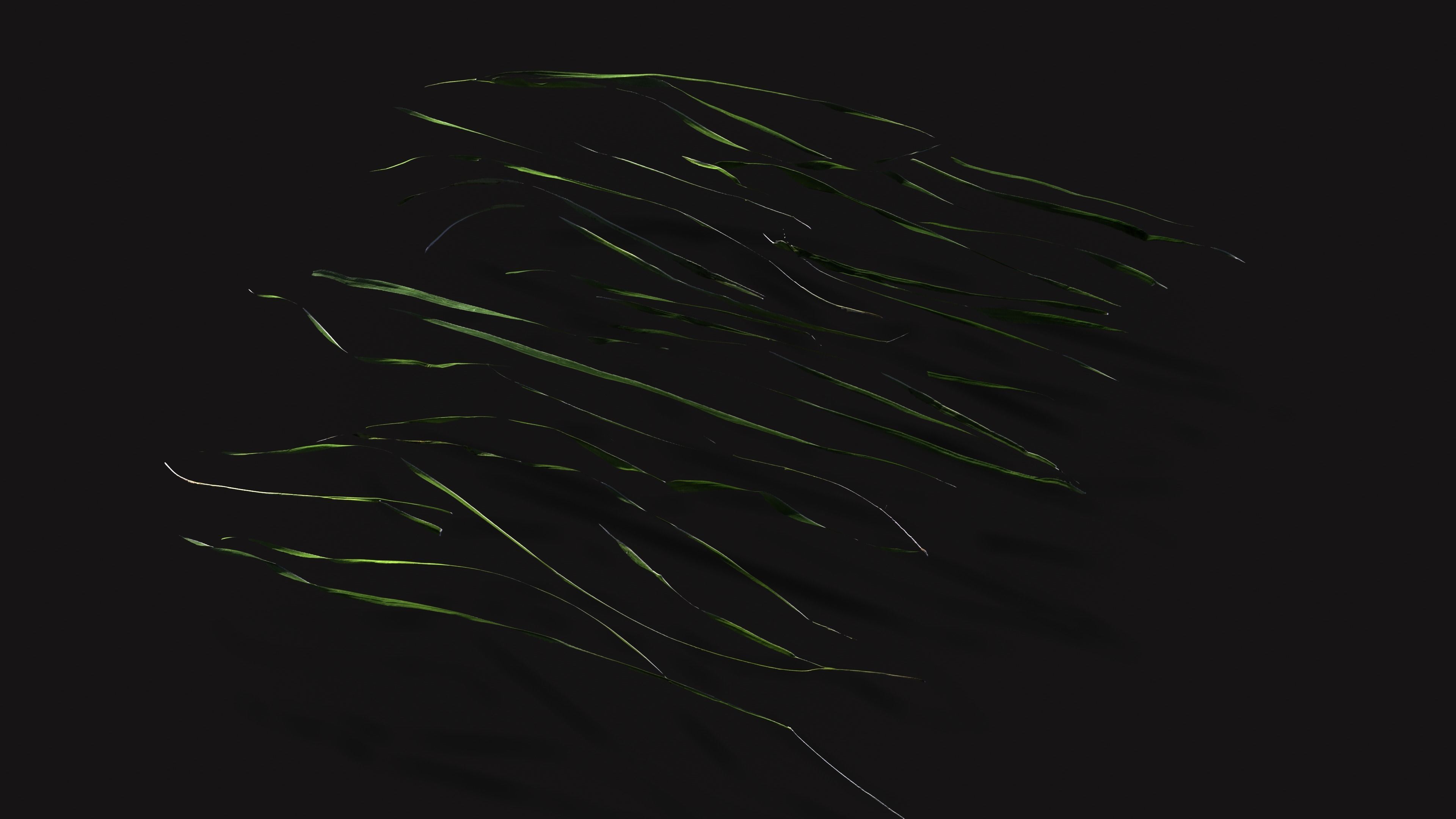 Huge 6K atlas pack - 40 types - 16 bit Texture | CGTrader