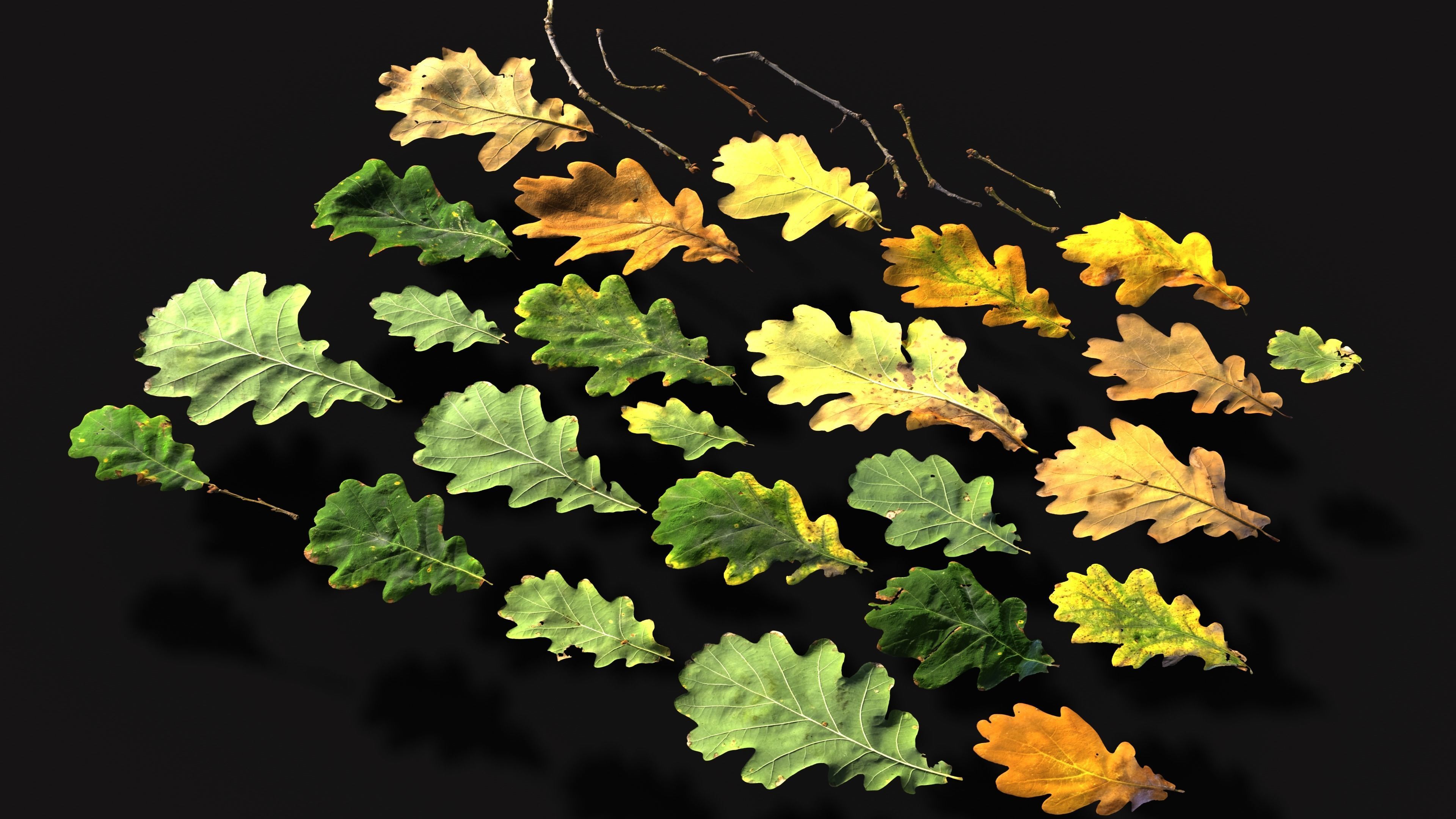 Huge 6K atlas pack - 40 types - 16 bit Texture | CGTrader