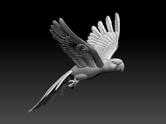 parrot flying in air 3D model 3D printable | CGTrader