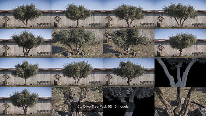 5 x Olive Tree Pack 02 3D Model Collection | CGTrader