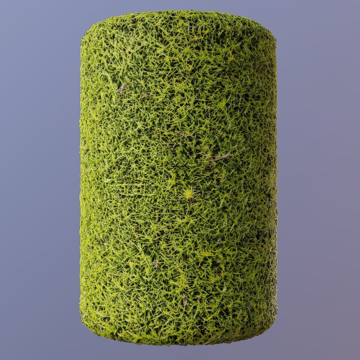 Moss PBR Texture Texture | CGTrader