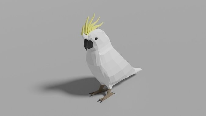 3D model Cartoon Cockatoo VR / AR / low-poly | CGTrader