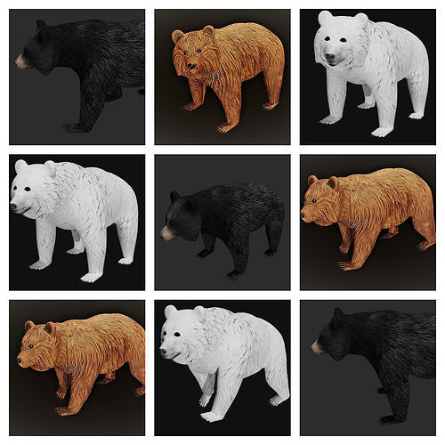 Bear collection VR / AR / low-poly | CGTrader