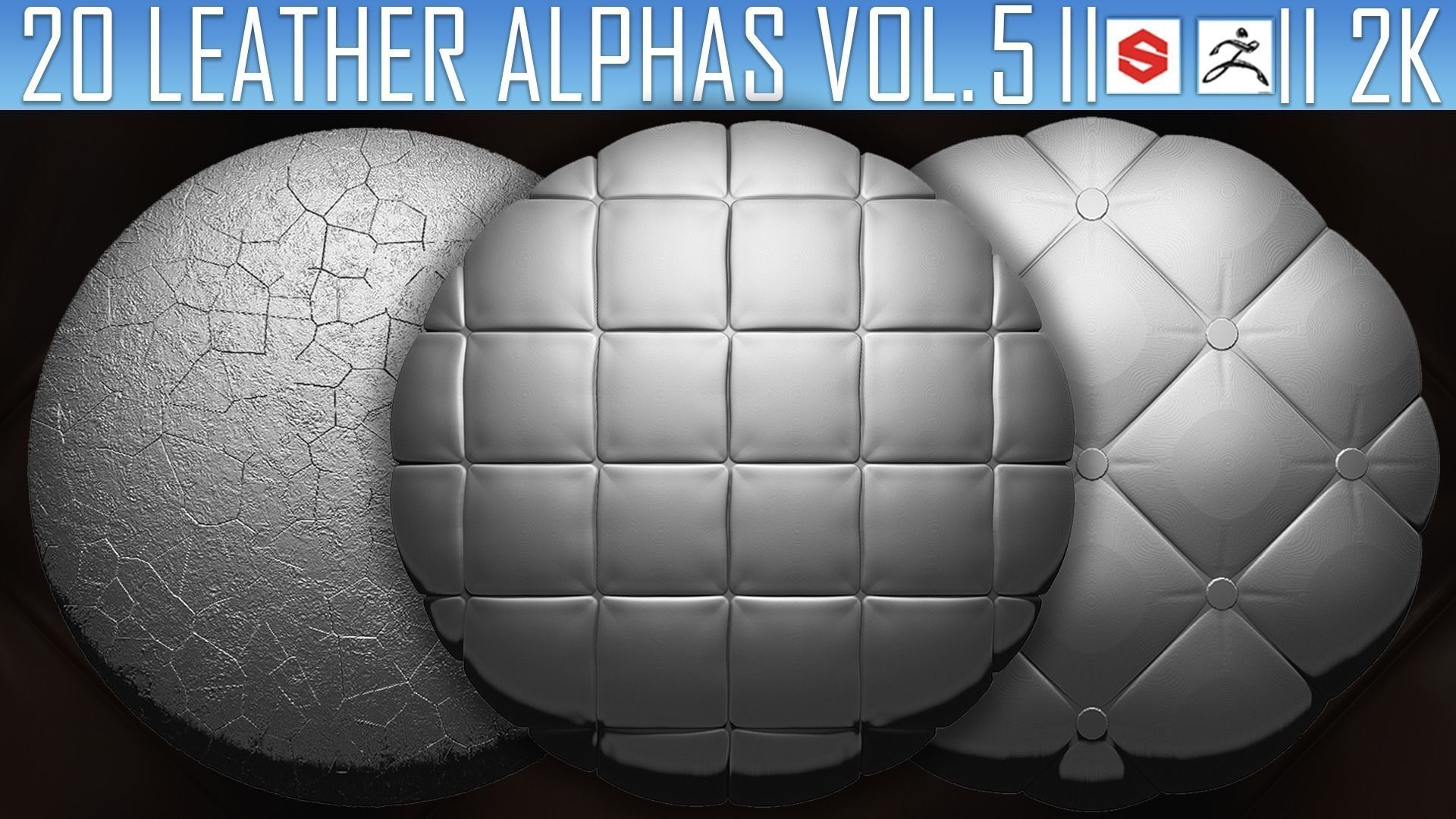 Leather Alphas for Zbrush 3D model | CGTrader