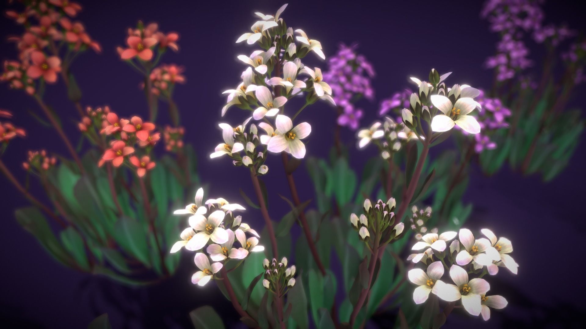 3D model Flower Daggerpod VR / AR / low-poly | CGTrader