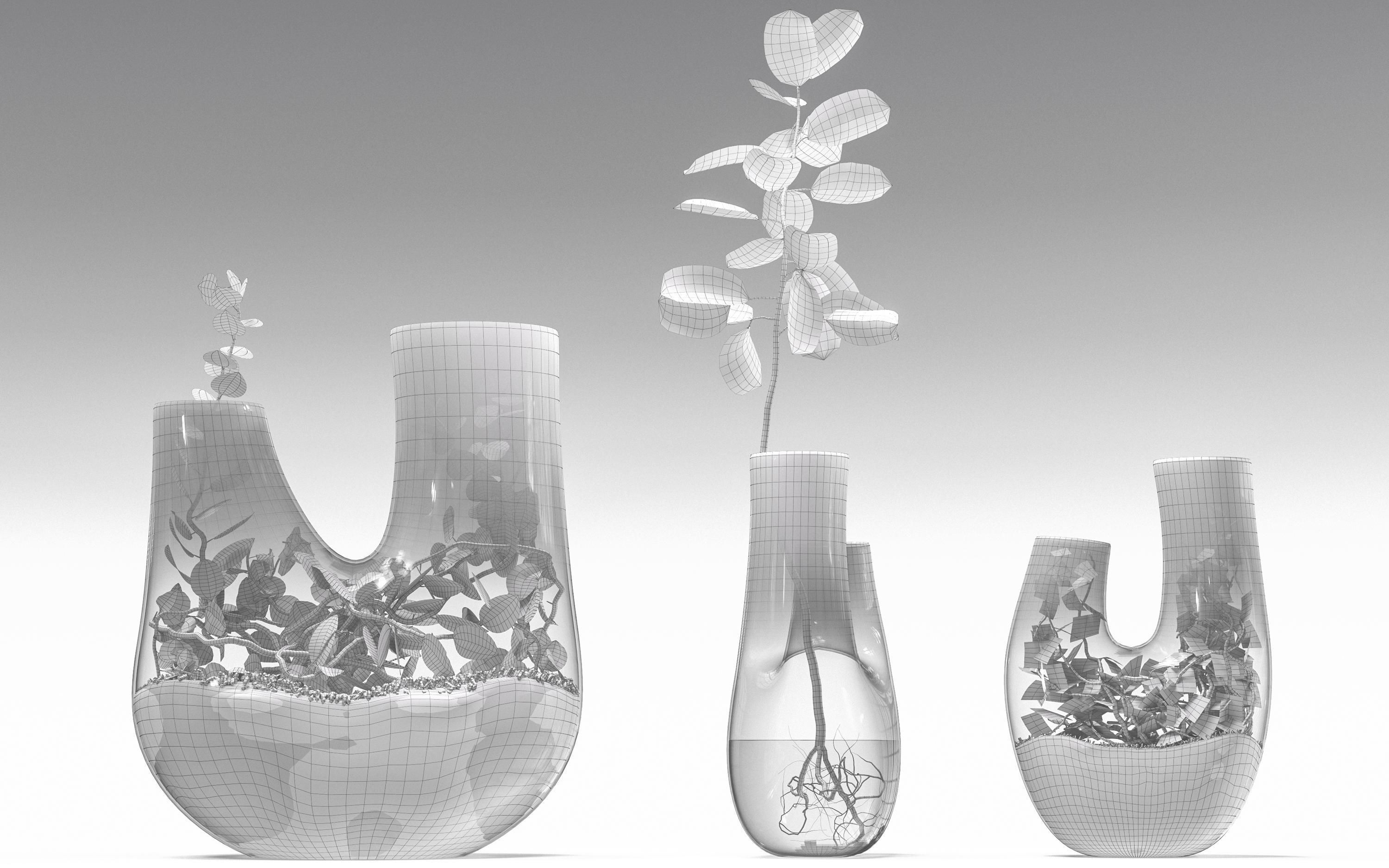 Plant Terrarium SET1 3D model | CGTrader