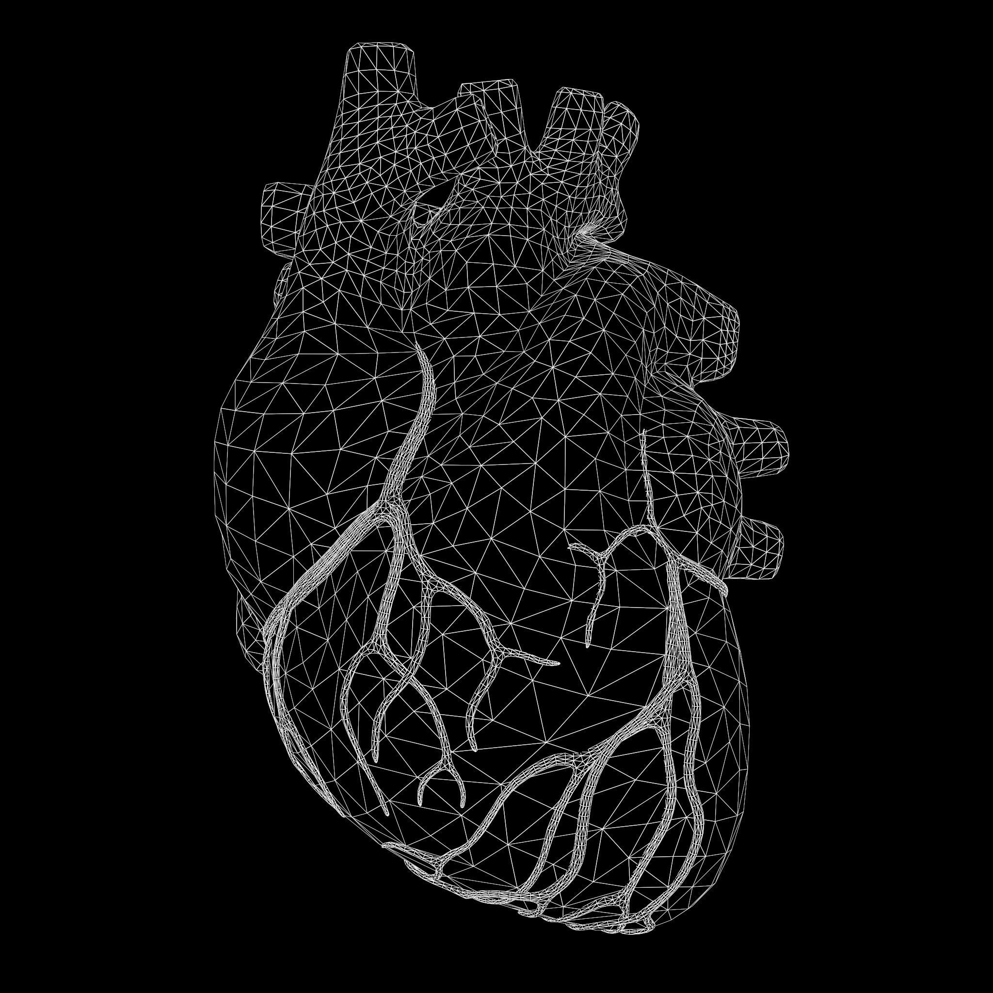 3D model Human Heart VR / AR / low-poly | CGTrader