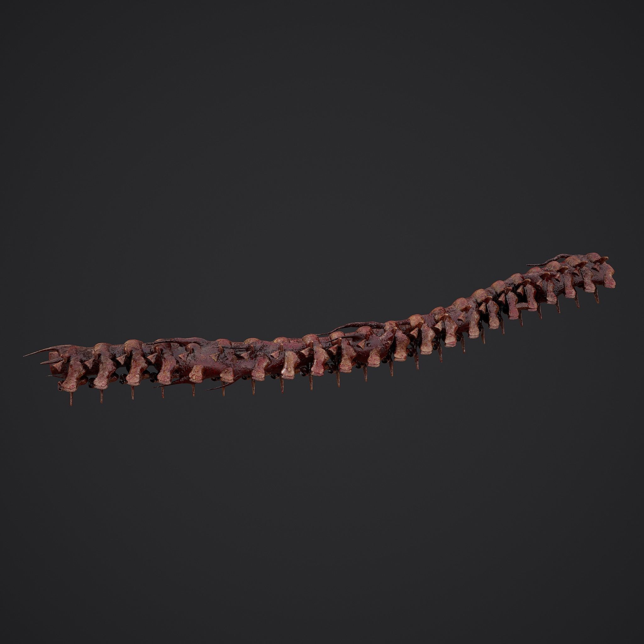 3D model Bloody Spine VR / AR / low-poly | CGTrader