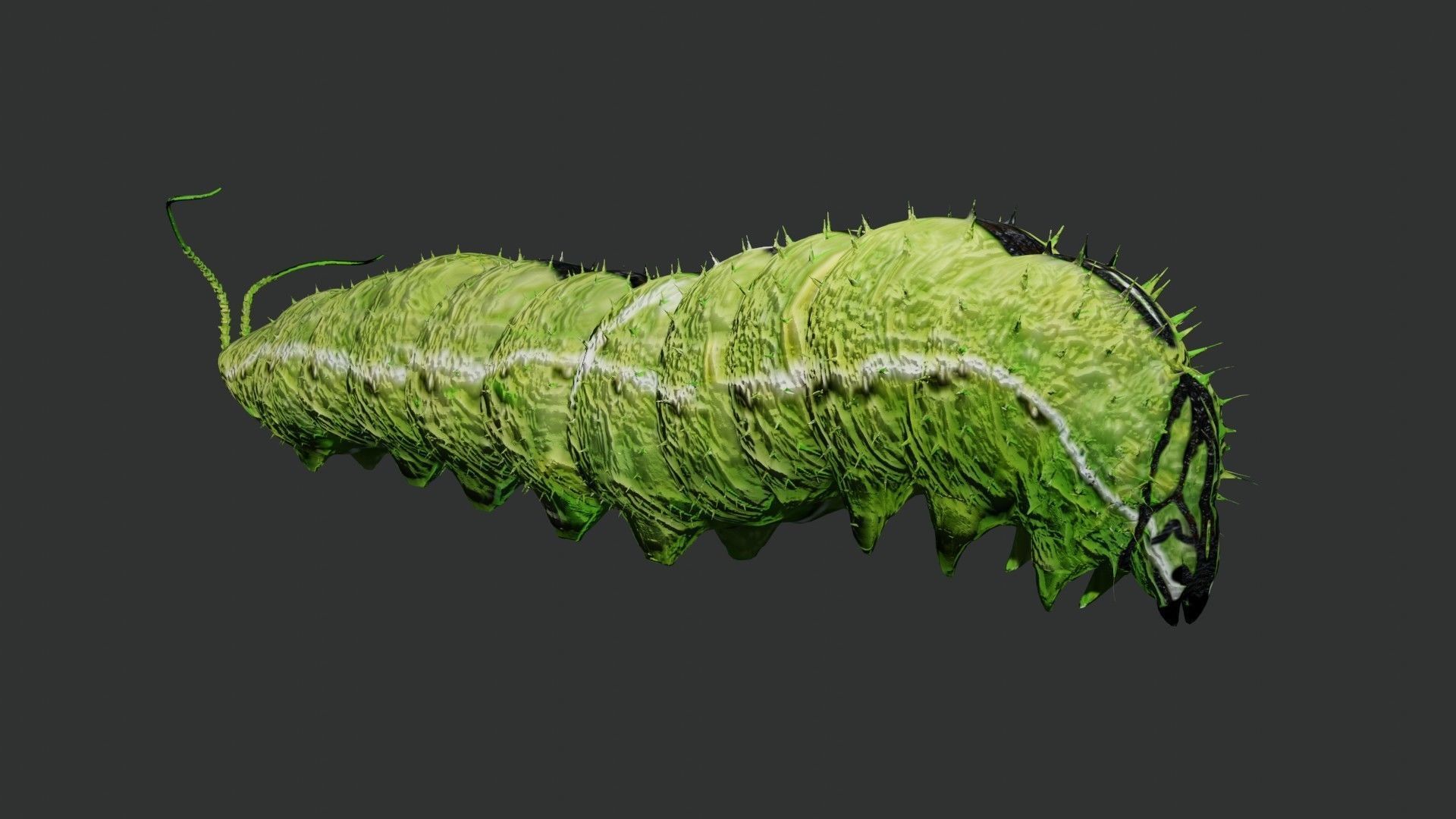 Caterpillar 3D model rigged | CGTrader
