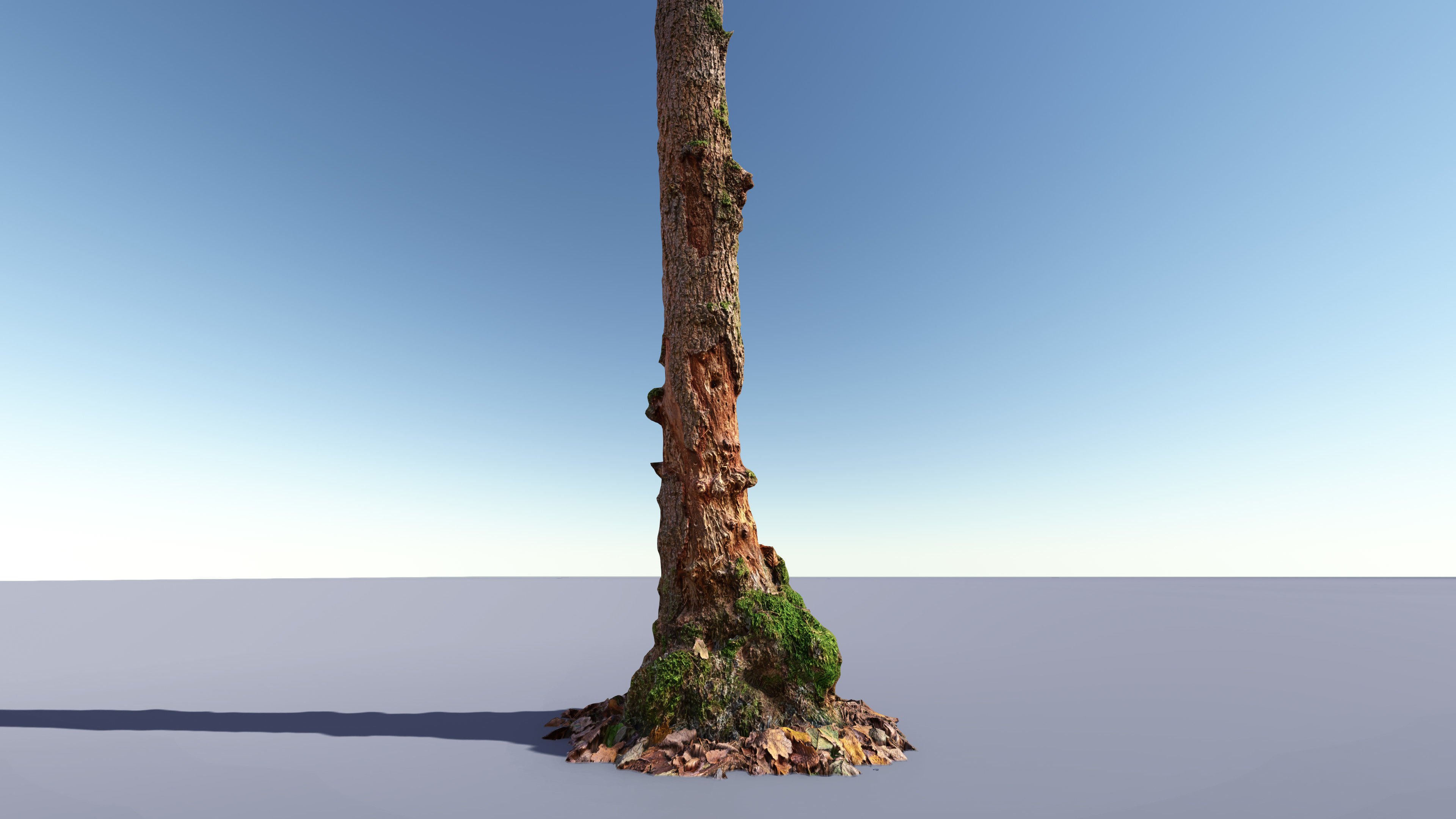 3D model Mossy Tree Collection - Processed Scans PBR 4K VR / AR / low ...