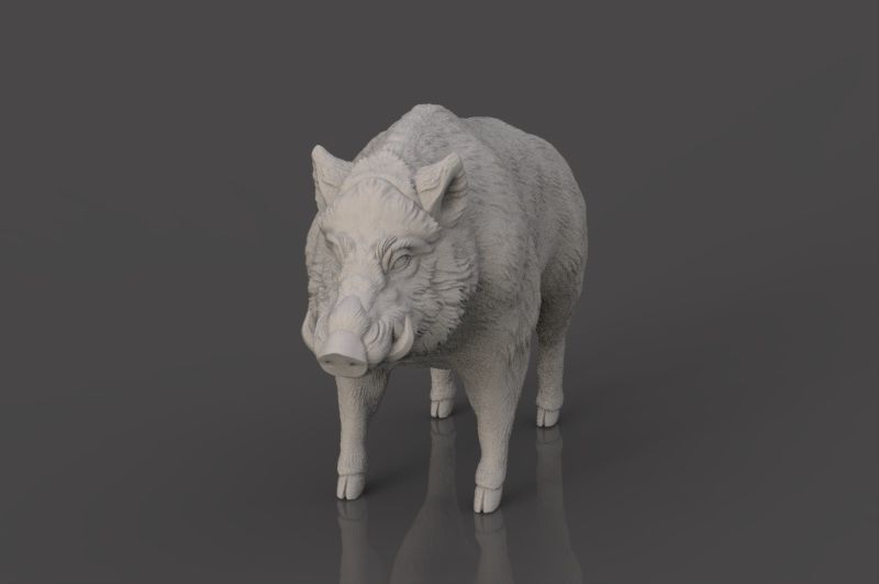 Boar 3D Model 3D model 3D printable | CGTrader