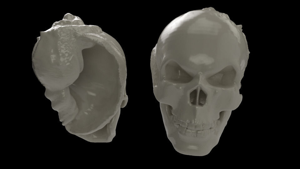 Skull-hermit-crab-shell 3D model 3D printable | CGTrader