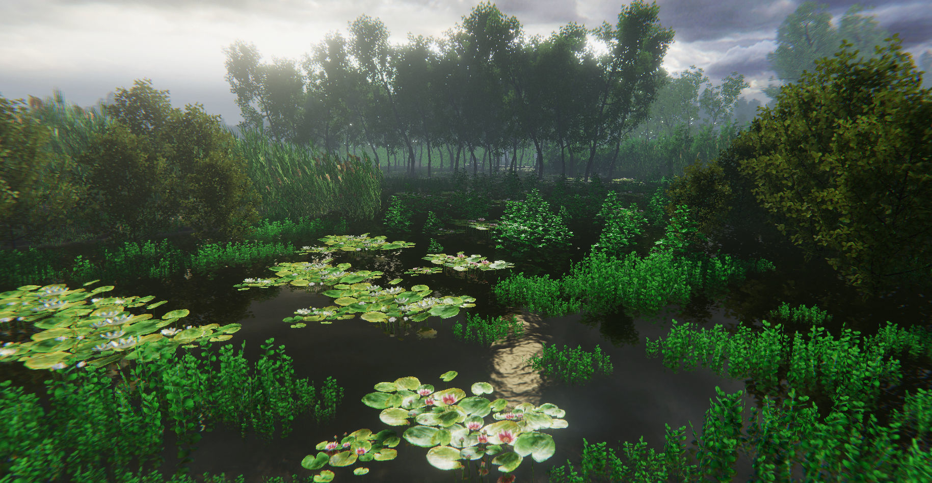 3D model Nature Package - Swamp Forest Environment Unity VR / AR / low ...