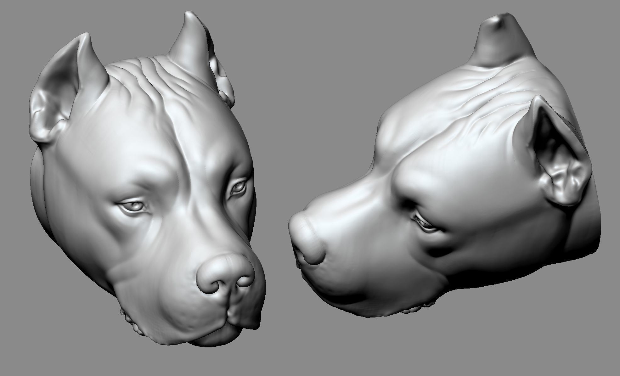 Dogo Dog Head 3D model 3D printable | CGTrader
