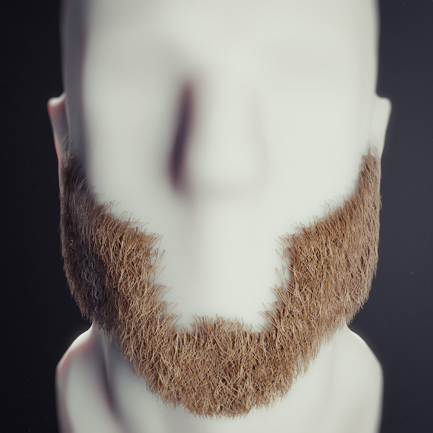 3D model Beard Blender Low Poly 5 VR / AR / low-poly | CGTrader